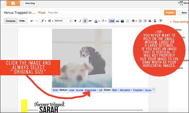 How To Manually Size Your Blog's Images Without Using a Photo Editor ...