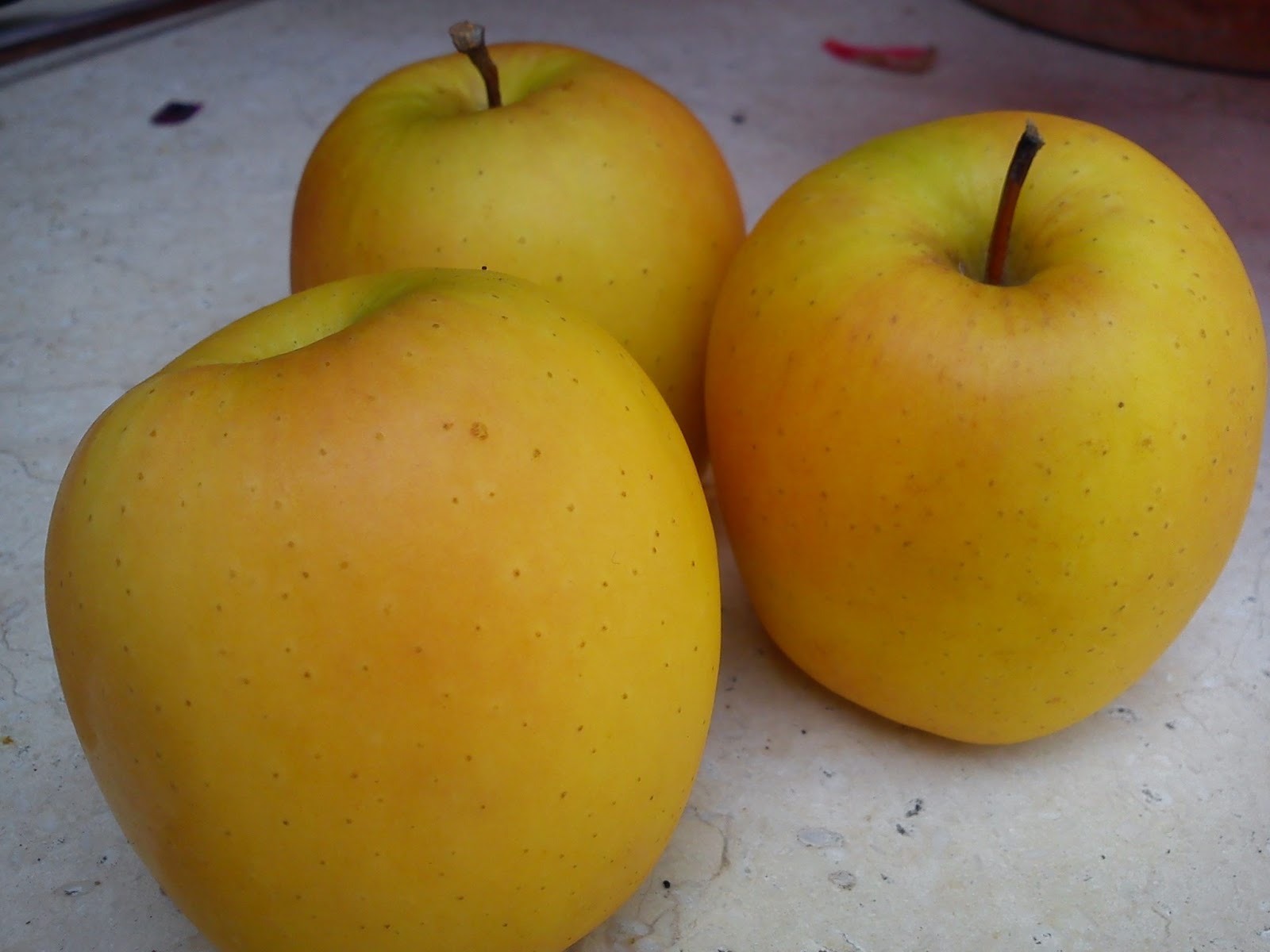 Tentation - Alchetron, The Free Social Encyclopedia