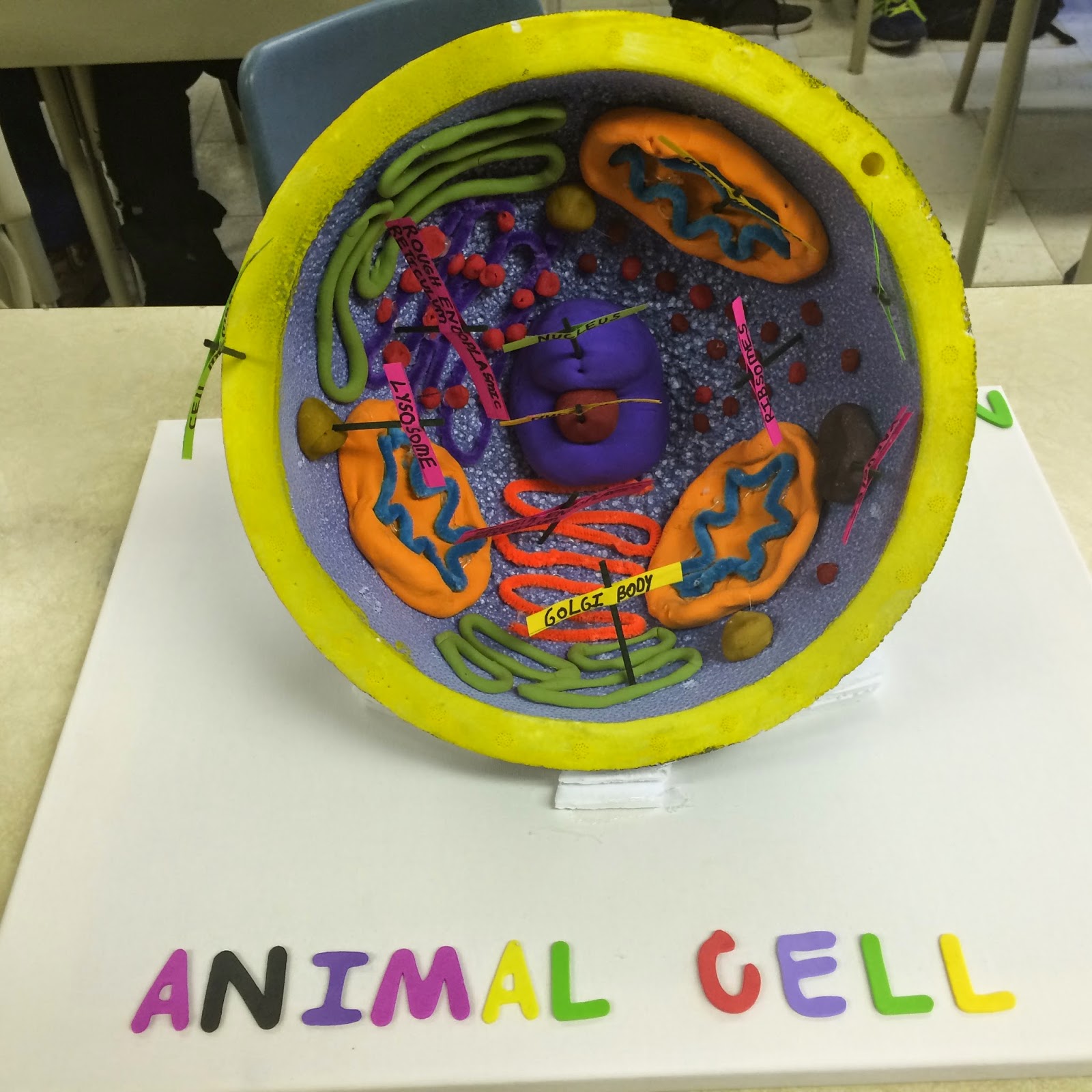 Our Lady of Peace F/I Intermediate Classrooms: Grade 8 science 3D cell ...