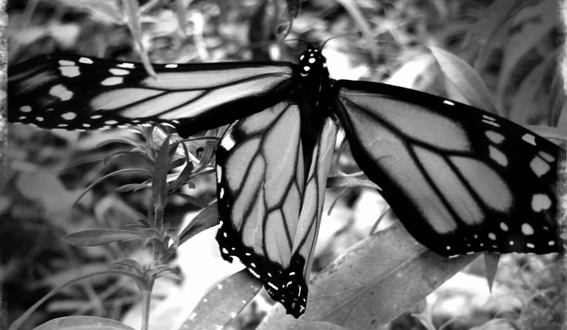 MarianneDowFoto Blog - Art Photography by Marianne Dow: Broken ...