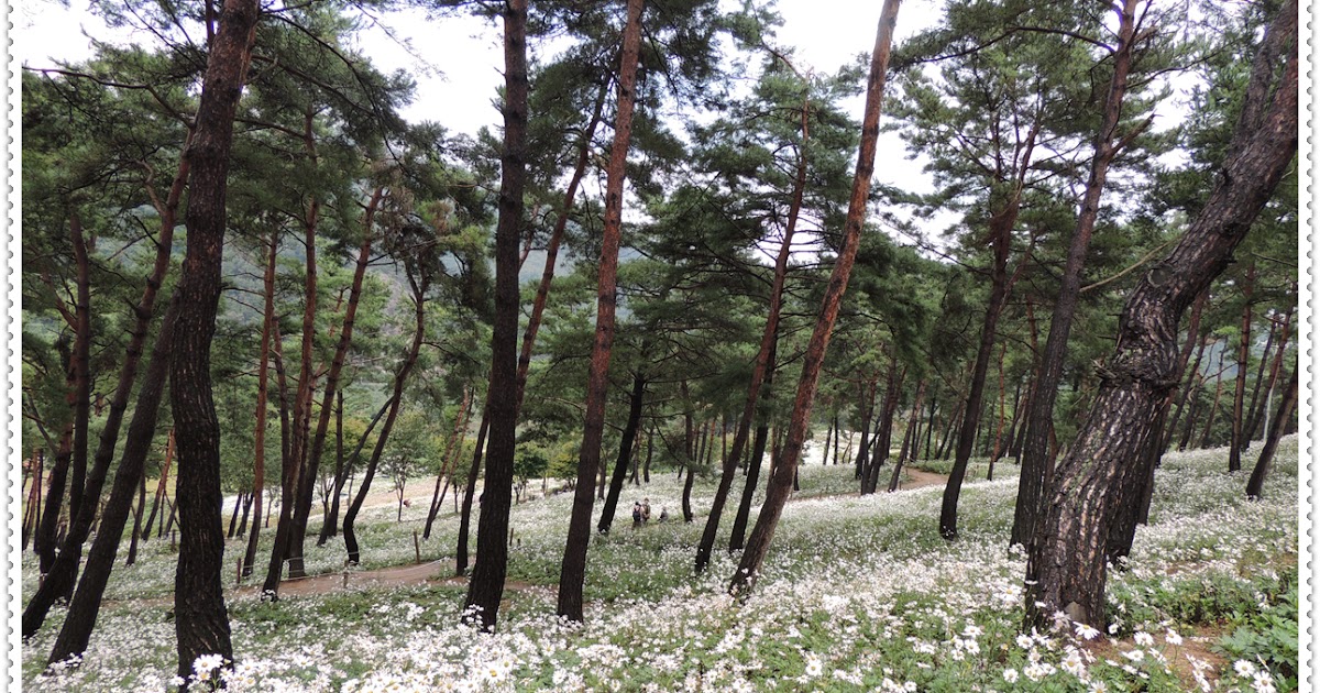 The Scriptures: Mark-04-23