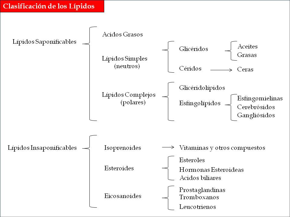 Nutrición Clínica para Profesionales de la Nutrición: CLASIFICACIÓN ...