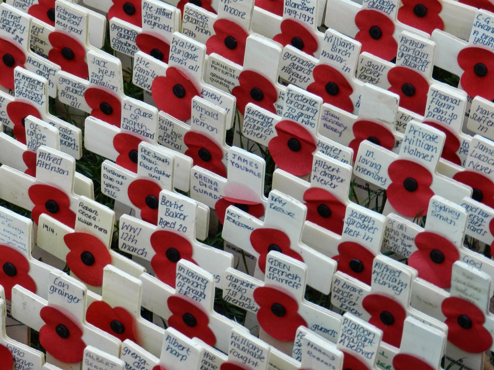 ODDS AND ENDS . : What is Poppy Day? 11 November