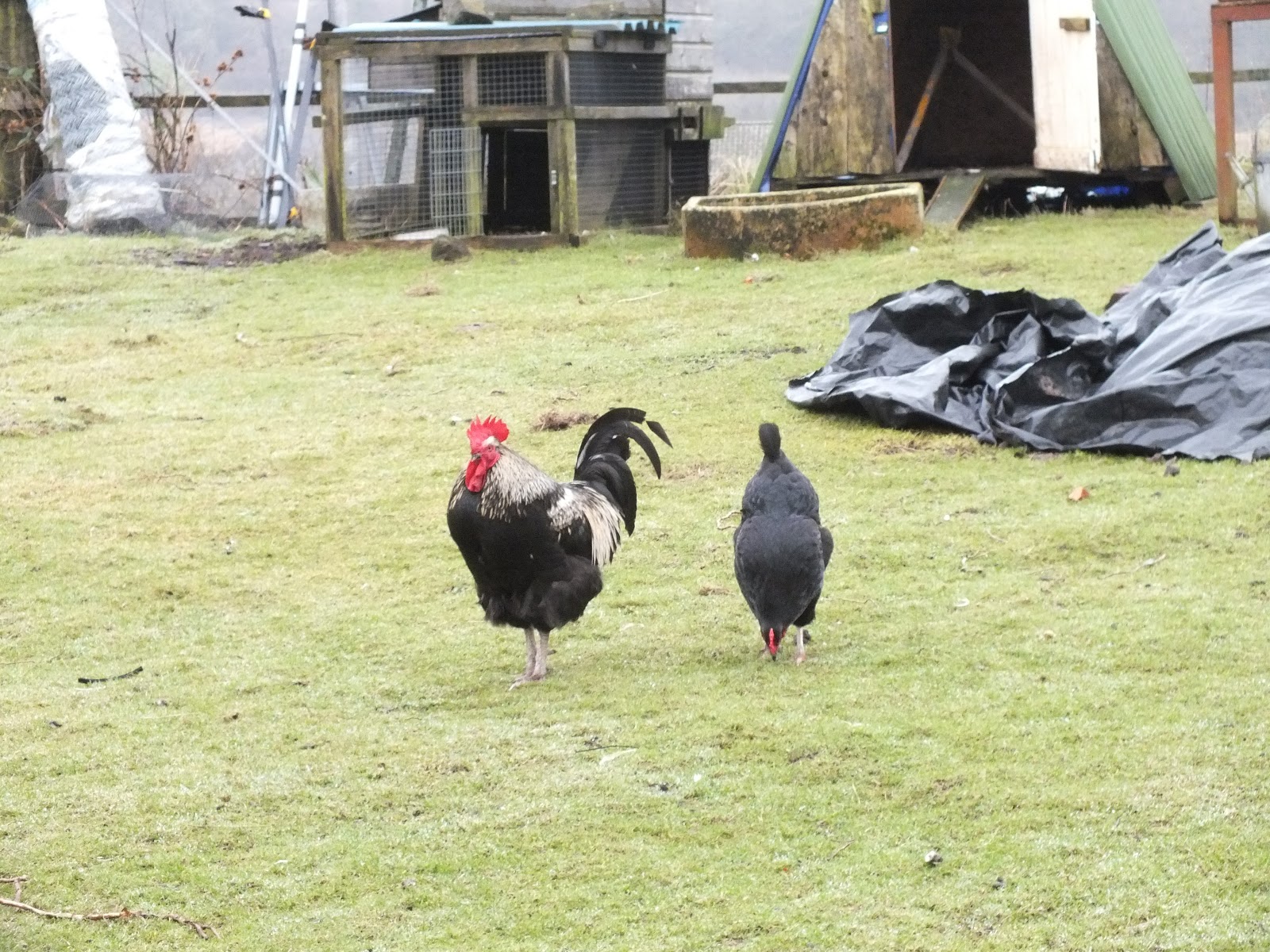 West Highland Way 2012: Leitchland from Inverkip via High Lunderston