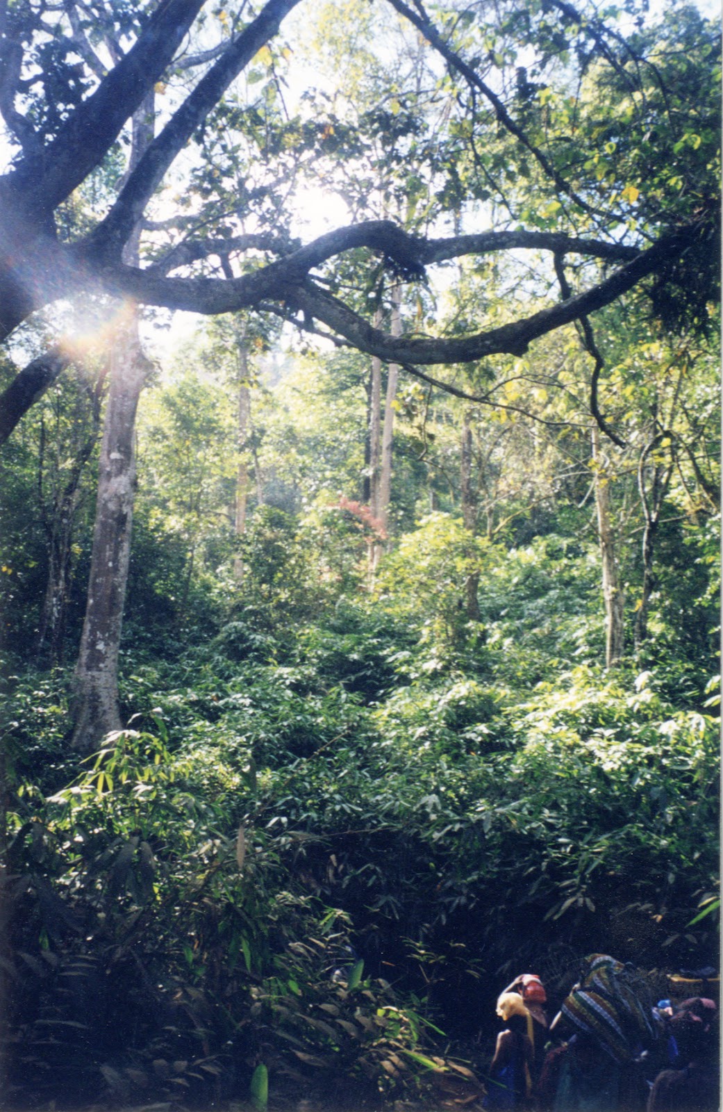 thotspot: August 2012