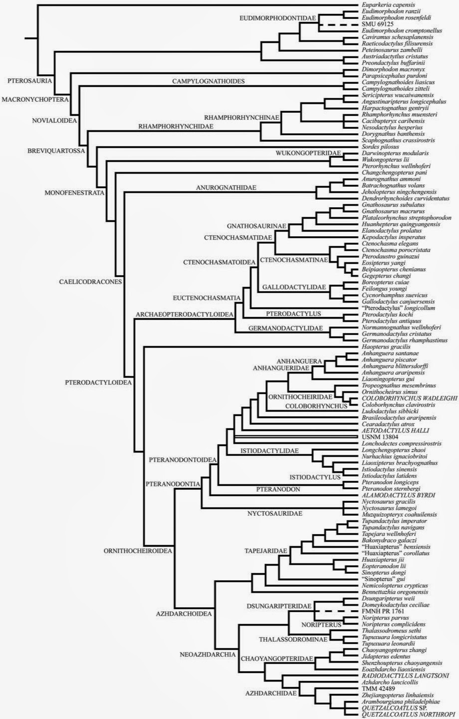 Pterosaurs to Birds: Odontognathae