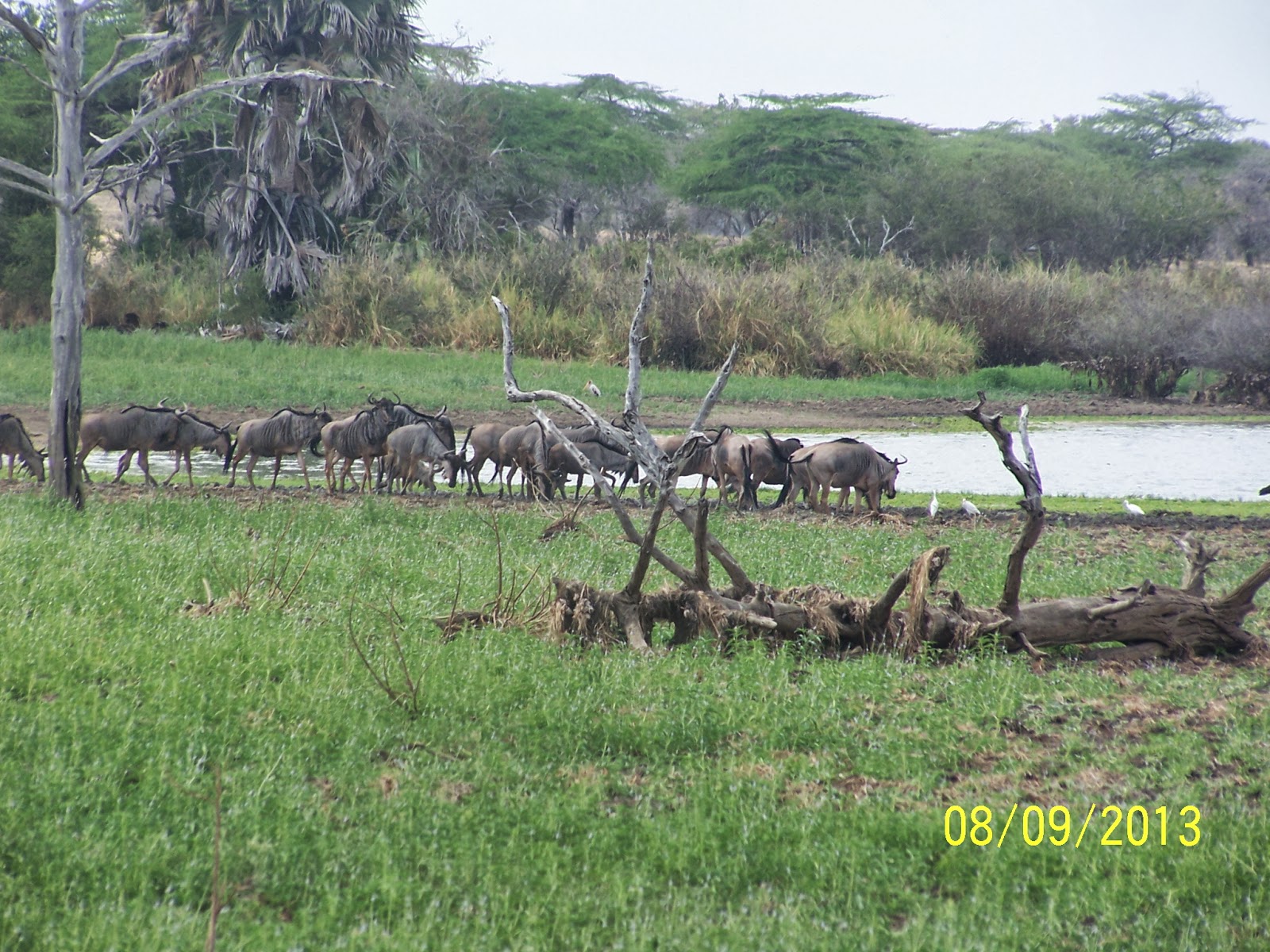 T-E-M-B-E-A Tanzania: October 2013