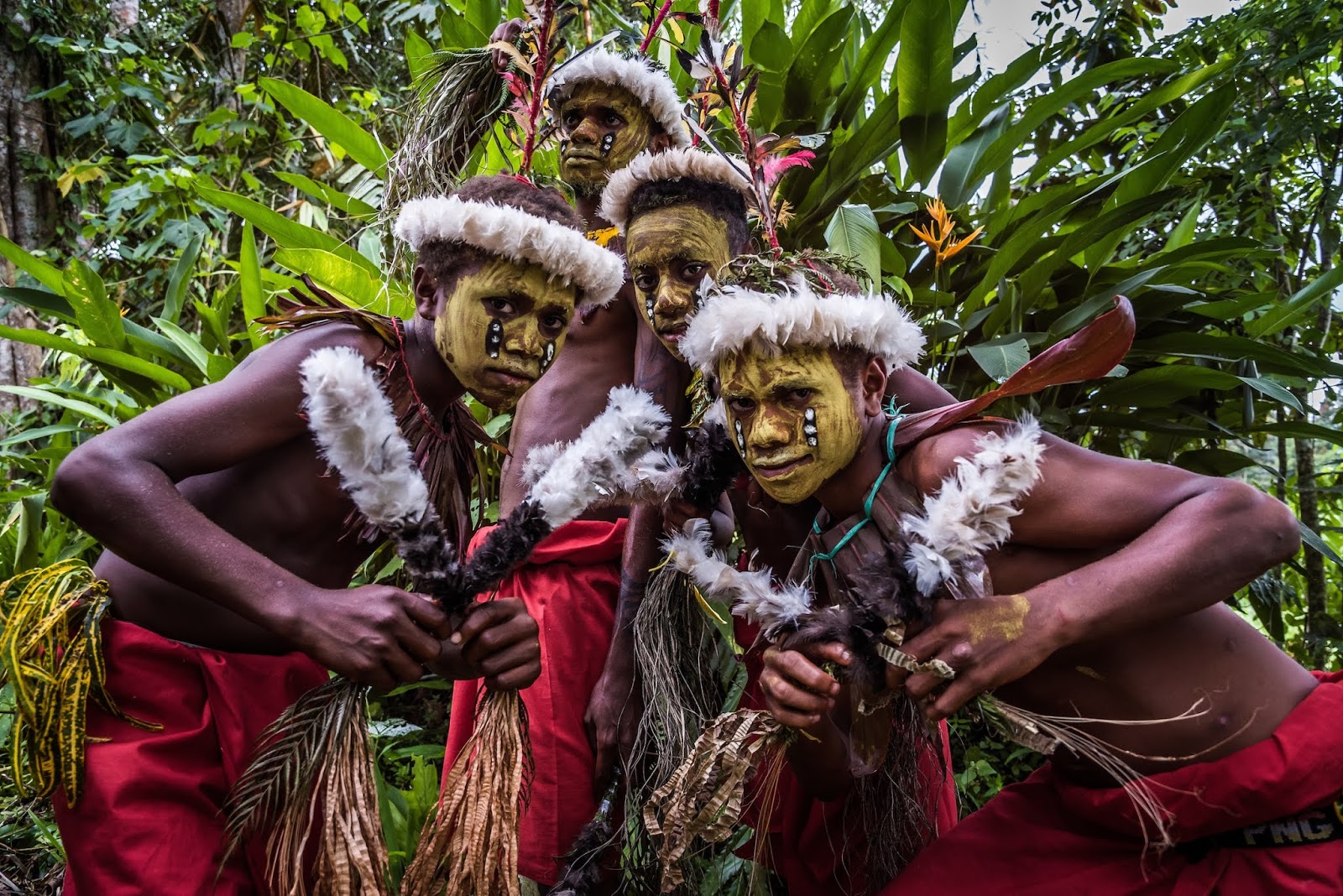 Garamut News: January 2019