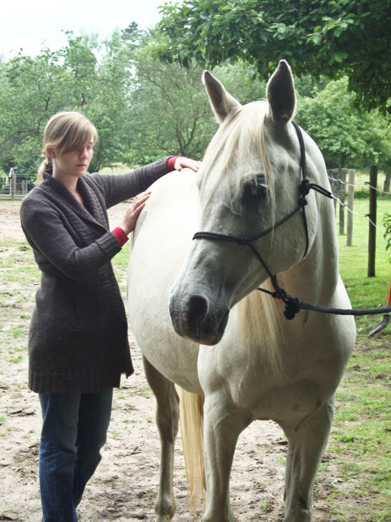 Animu Luce: INITIATIE CRANIO-SACRAAL THERAPIE