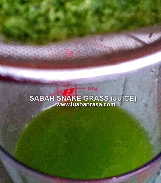 Herbs Info: Sabah Snake Grass - Healing & Benefits