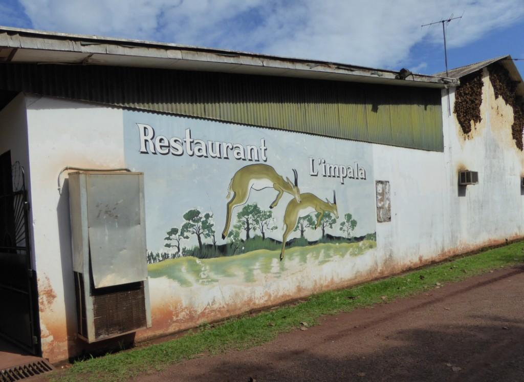 séjour au Gabon: De La Lékédi à Léconi