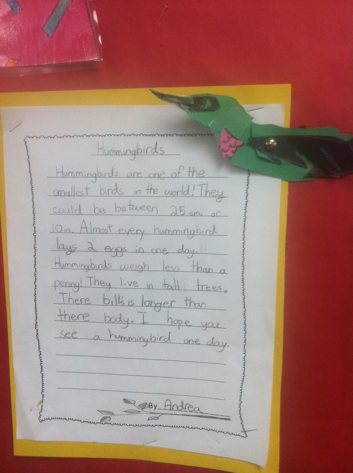 TeachersHQ: Picture Prompt Writing, Bird reports, & countdown