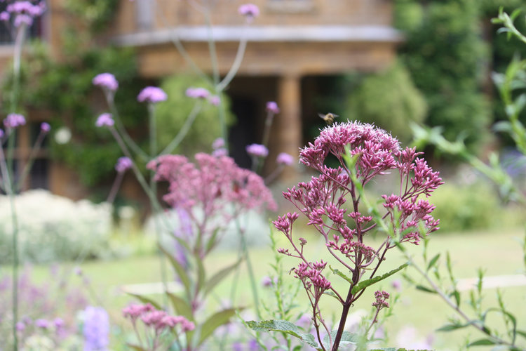 Passeggiare tra parchi, giardini e castelli: Wordington Manor