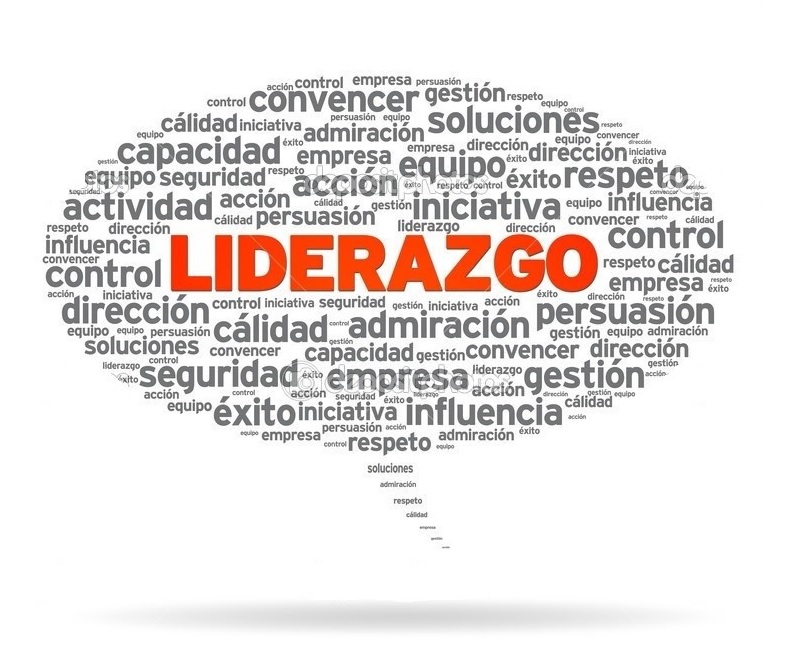 Liderazgo en Enfermería: ¿Que es Liderazgo?