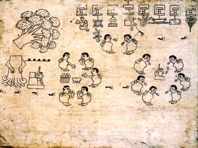 Club de Amig@s de los Ahuehuetes