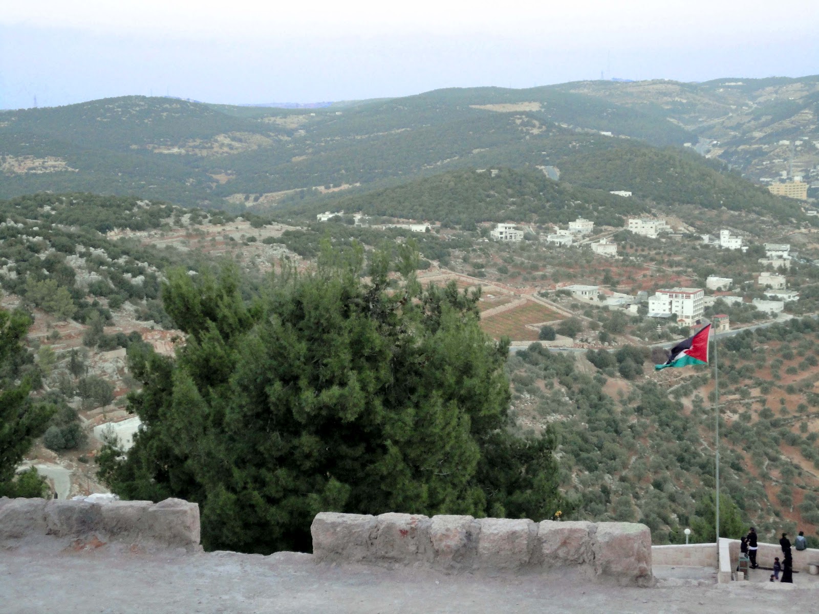 Australian Politics Forum - Prince Charles: Follow the Islamic Way ...