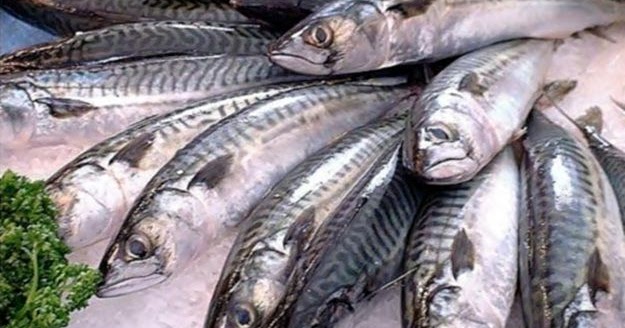 Nutricion y Genes: Pescado Azul