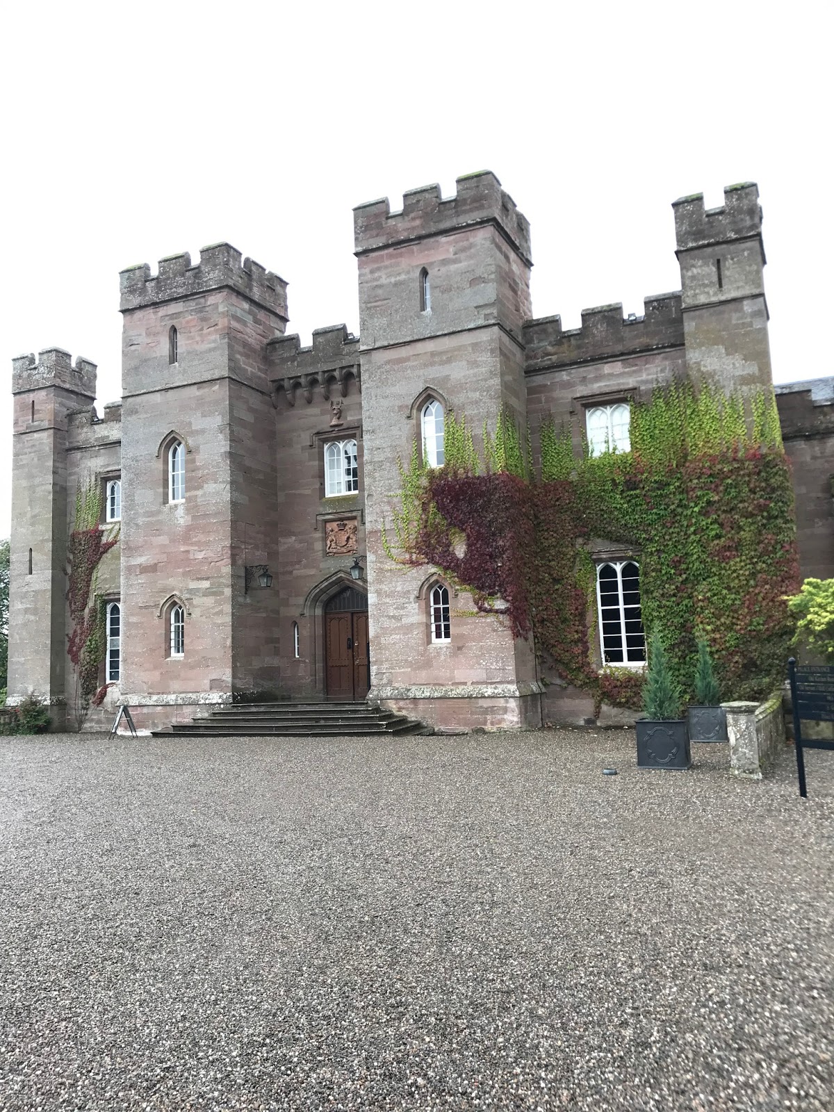 Write and Peak: Scotland: Day 5: Happy 30th and Heilan Coo's