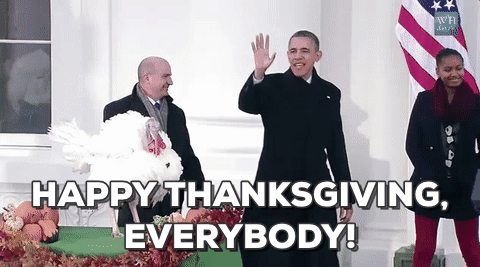 Funny Thanksgiving Gif Free Download For Facebook