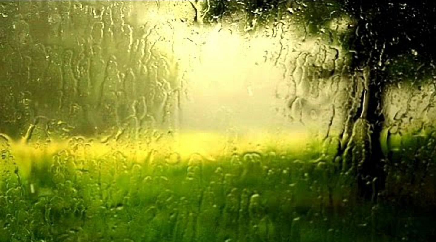 The Notorious Meddler: There Will Come Soft Rains