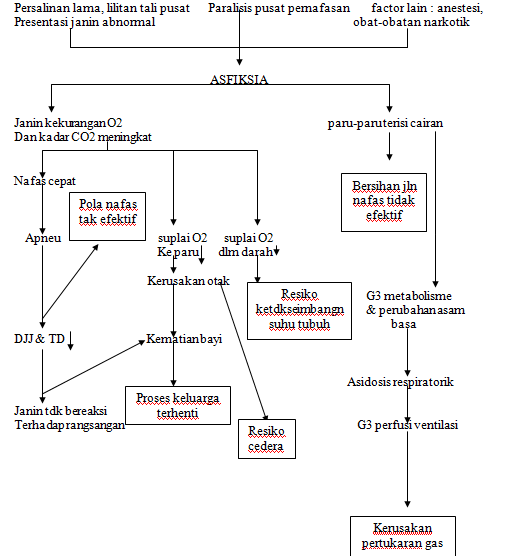 PATHWAY ASFIKSIA NEONATORUM | world health