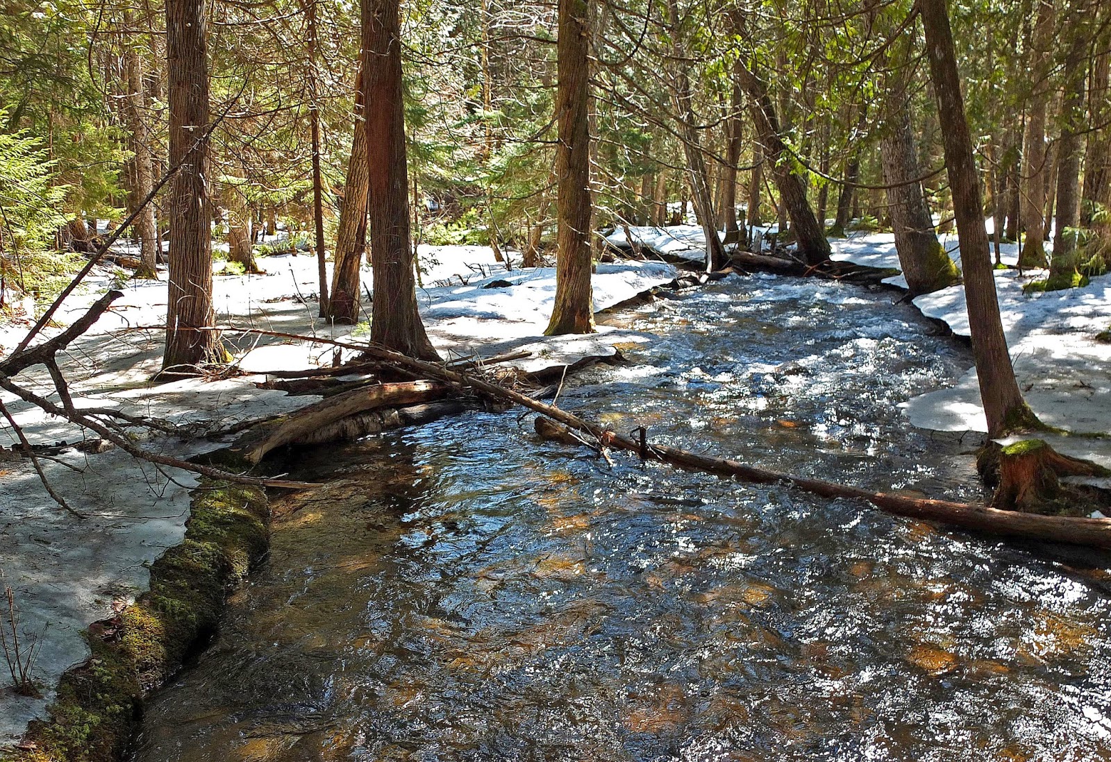 Hiking in Maine with Kelley: 4/7/14 Little Long Pond / Jordan Stream