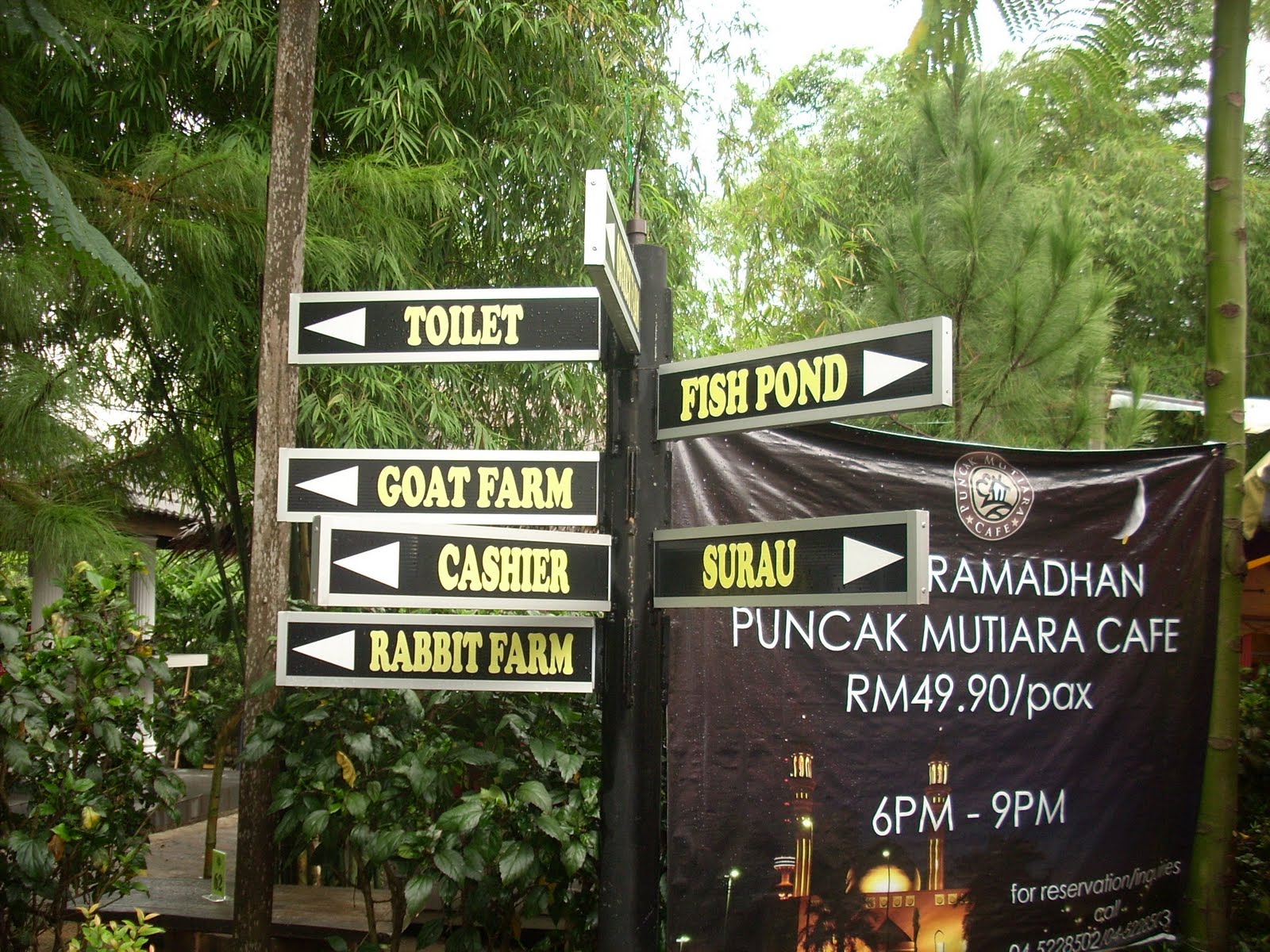 JALAN REBUNG : PUNCAK MUTIARA CAFÉ @ KULIM