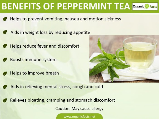 rainbowdiary: Health Benefits Of Peppermint Tea