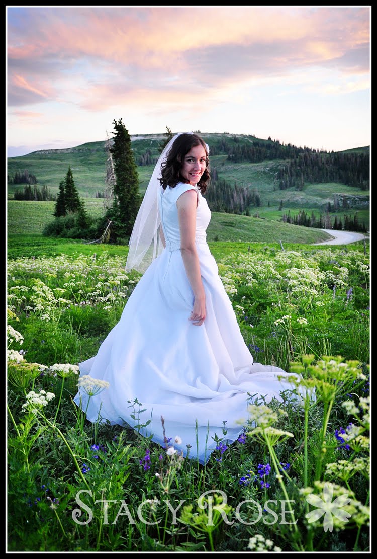 Stacy Rose Photography