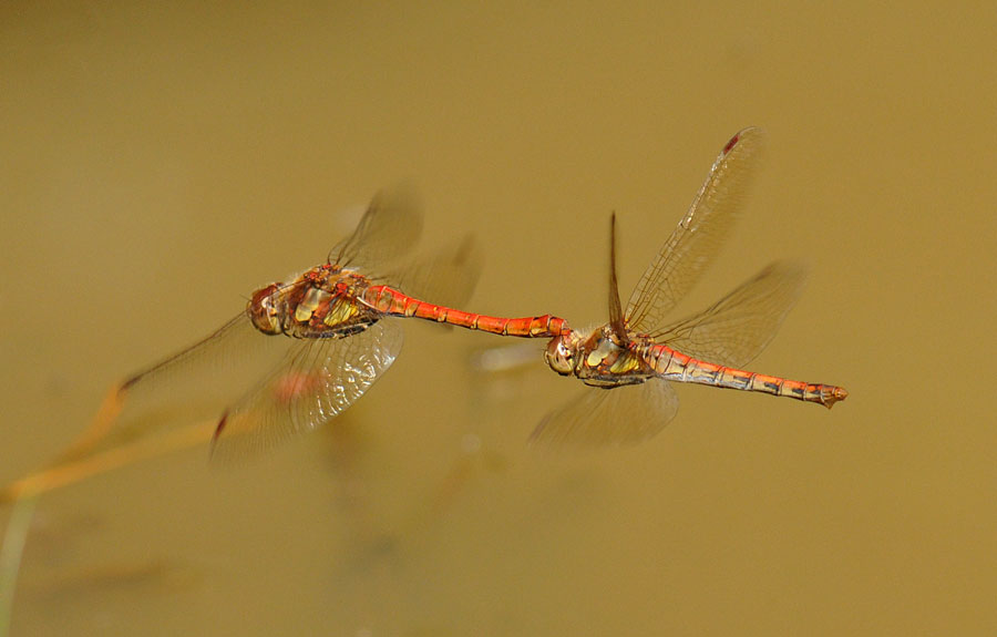 Kathryn Jones Photography