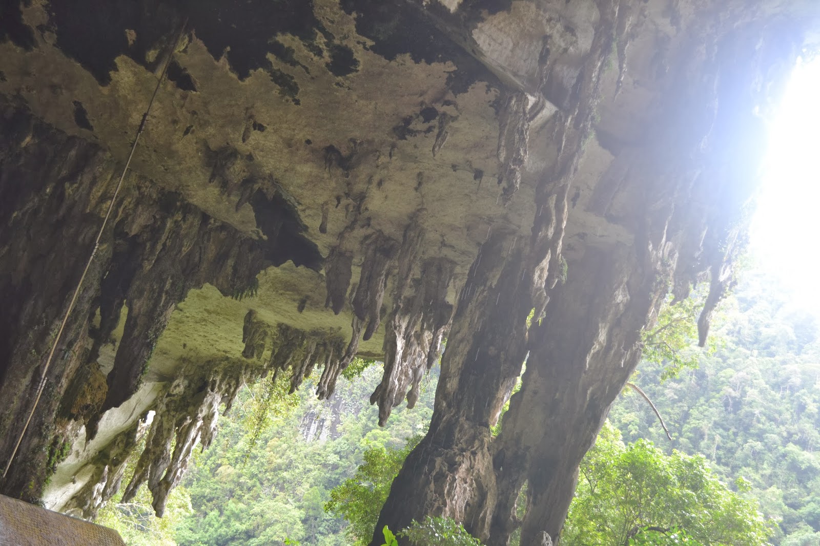 Travel My Way: Jelajah Miri Part 2 : Gua Niah - Taman Negara Niah