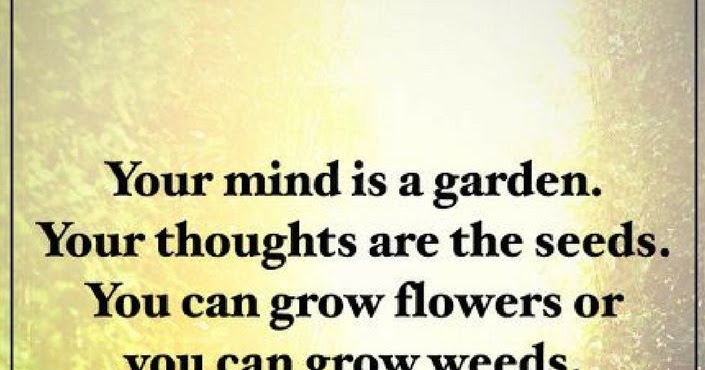Your mind is a garden. Your thoughts are the seeds. You can grow ...
