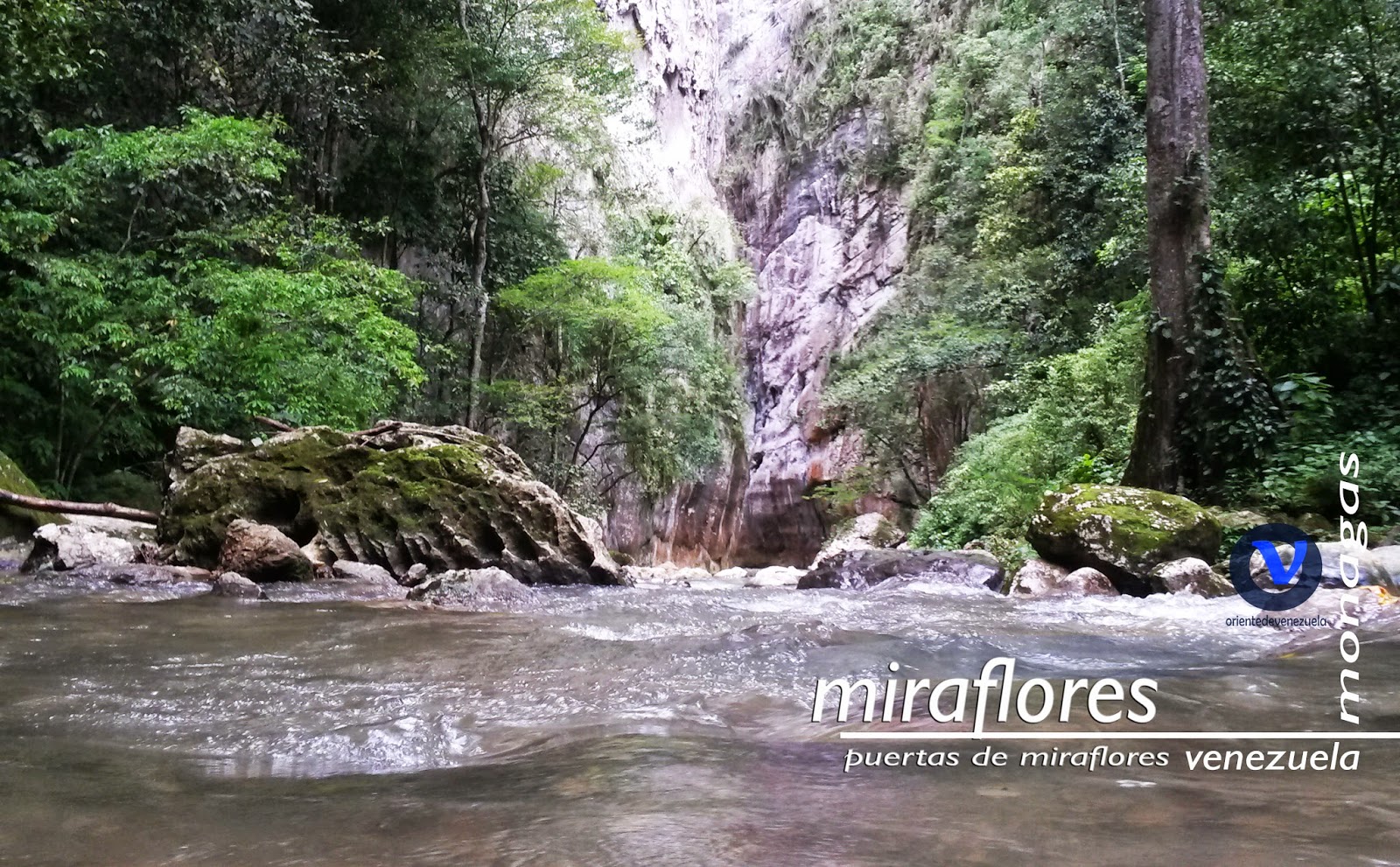 Oriente de Venezuela
