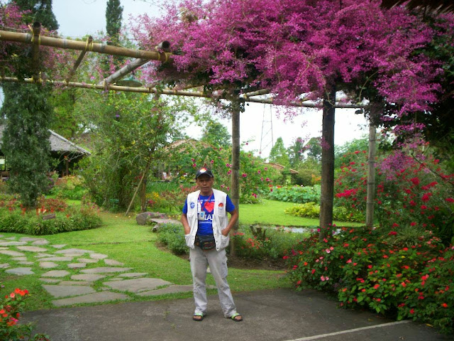 wonderful tomohon city north sulawesi indonesia: kota tomohon