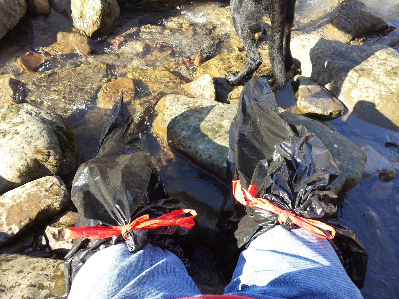 Rick's Hiking Blog: Terwilliger Falls, Pine Hollow, Richland Wilderness ...