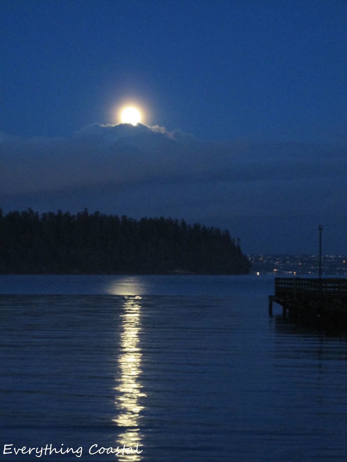 Everything Coastal: Magic Happens On a Full Moon