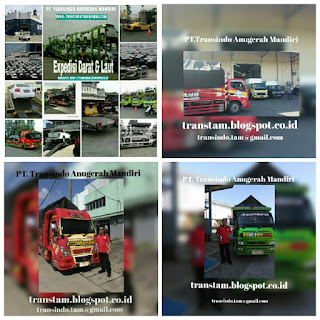 PT. Transindo Anugerah Mandiri: About Us