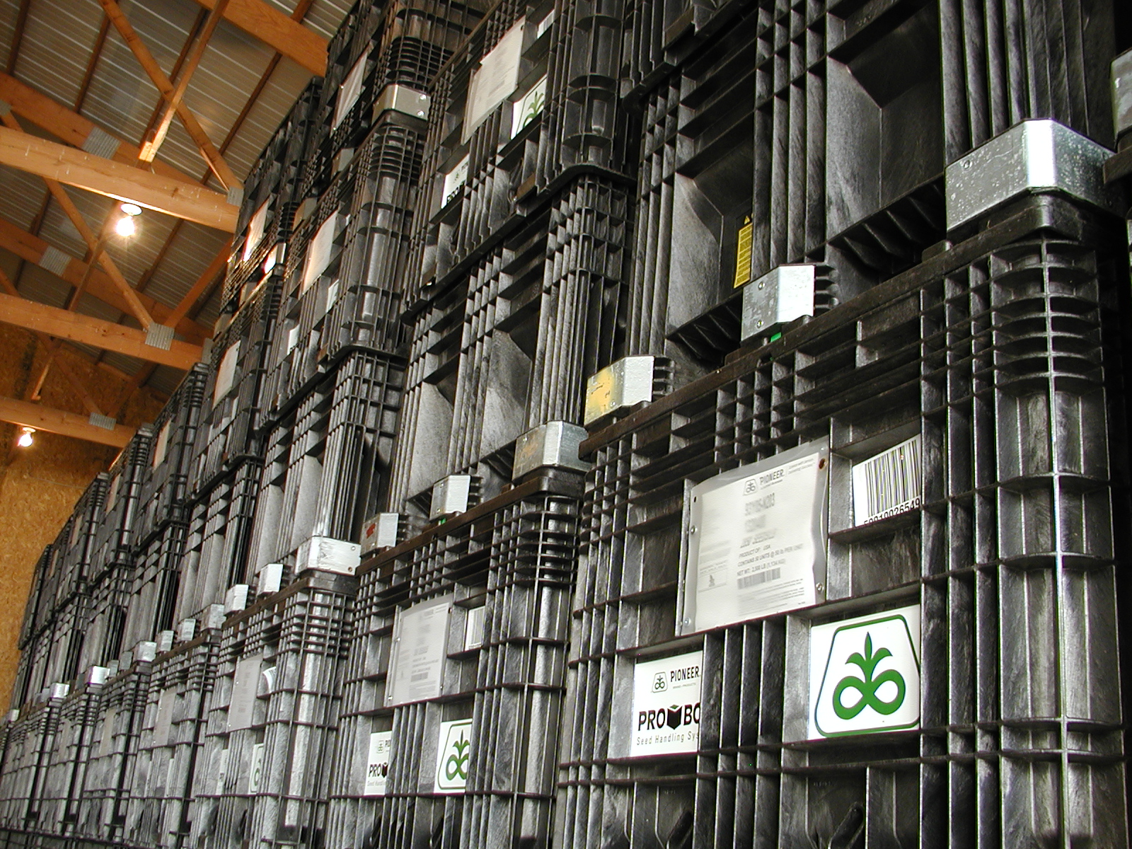 3 kids and lots of pigs: welcome to my pig pen: Farmer Fridays - Guest ...