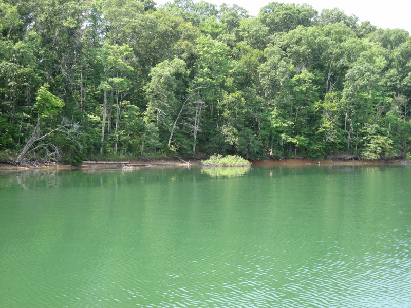 Gary's Outdoor Wanderings2: CHEROKEE LAKE IN EAST TENNESSEE