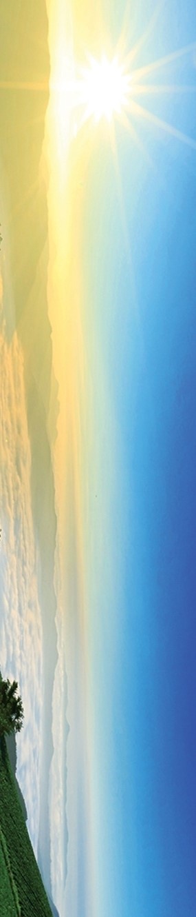 Peace in the Bible: Shincheonji Teaching: The Reason that the First ...