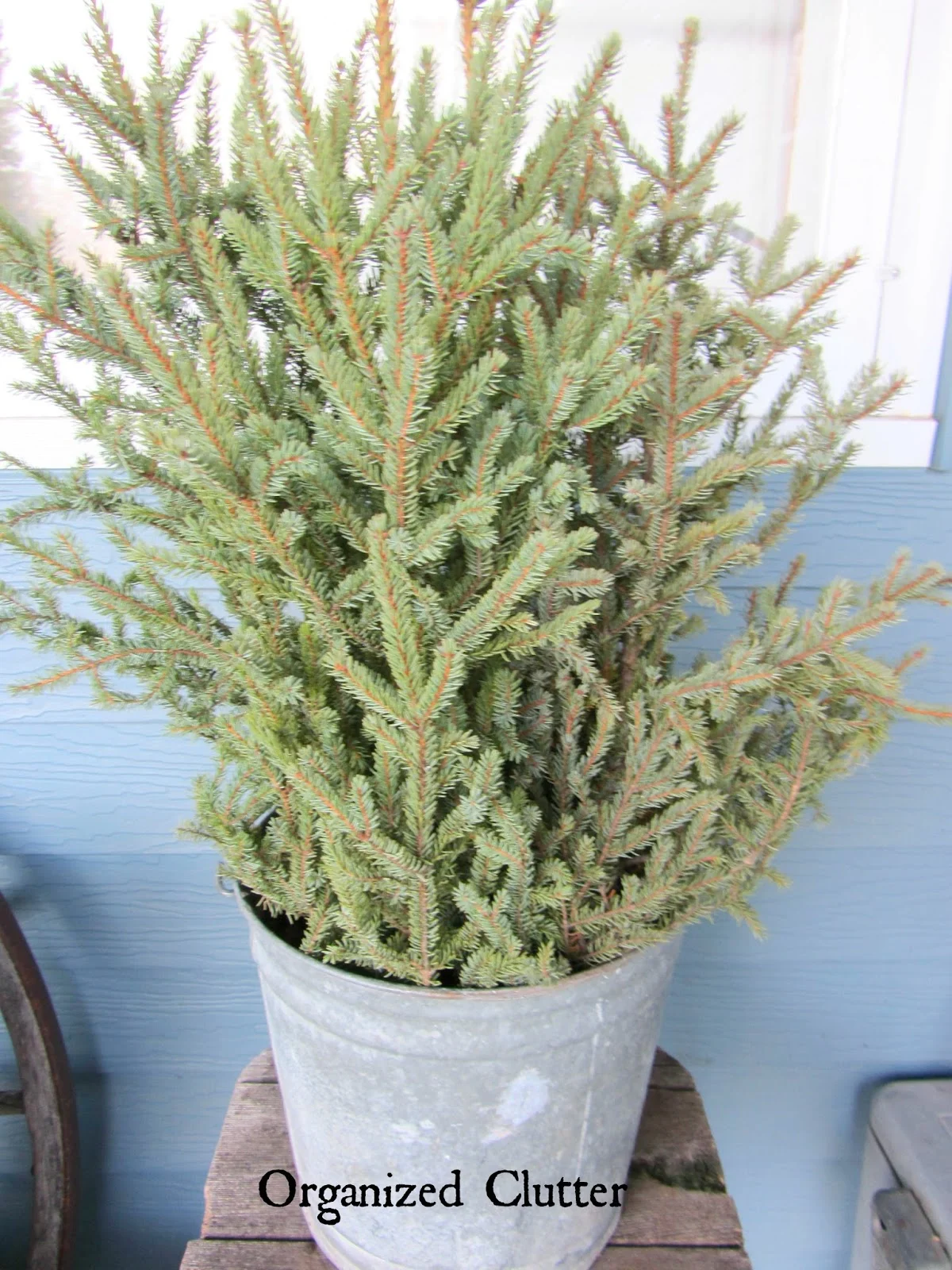 Rustic Christmas Outdoor Greenery Pails - Organized Clutter