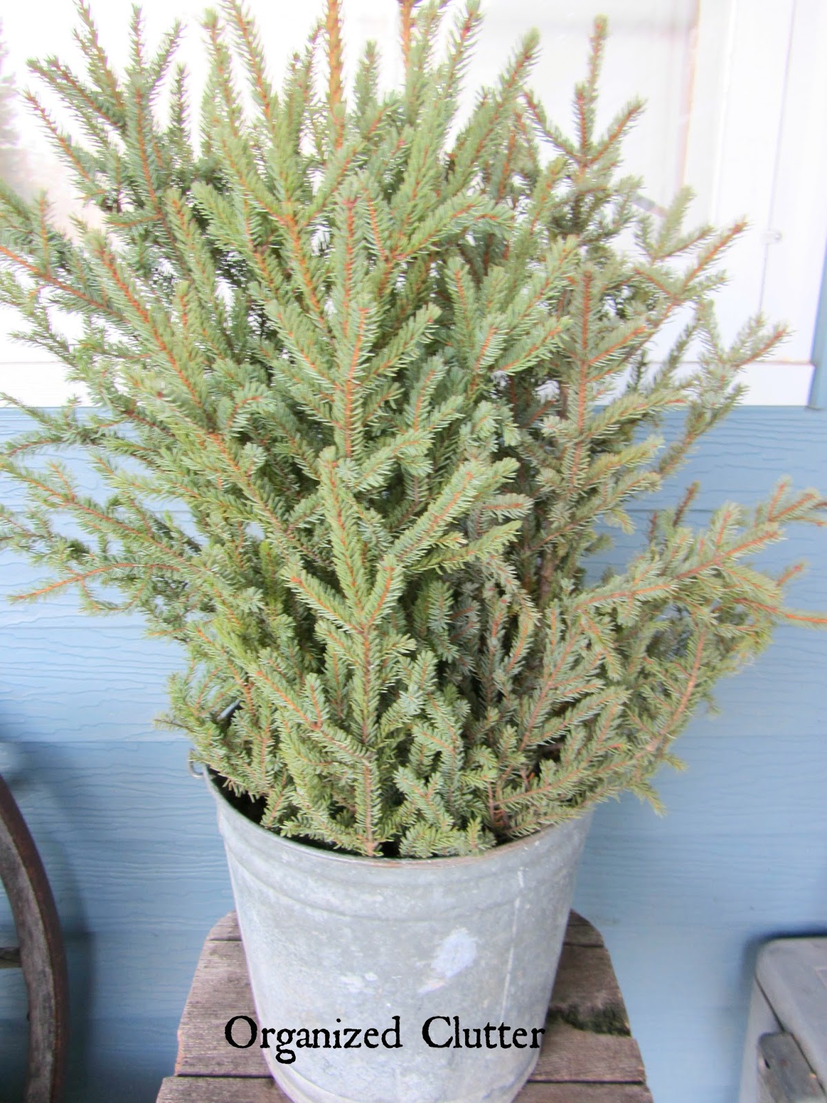 Rustic Christmas Outdoor Greenery Pails - Organized Clutter