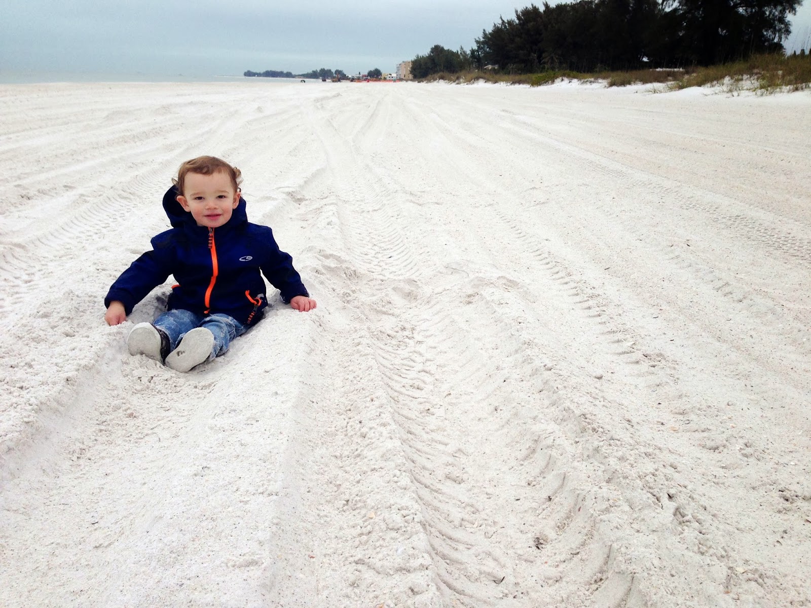 polar vortex in Florida polar vortex in Florida - Beth Kaplan