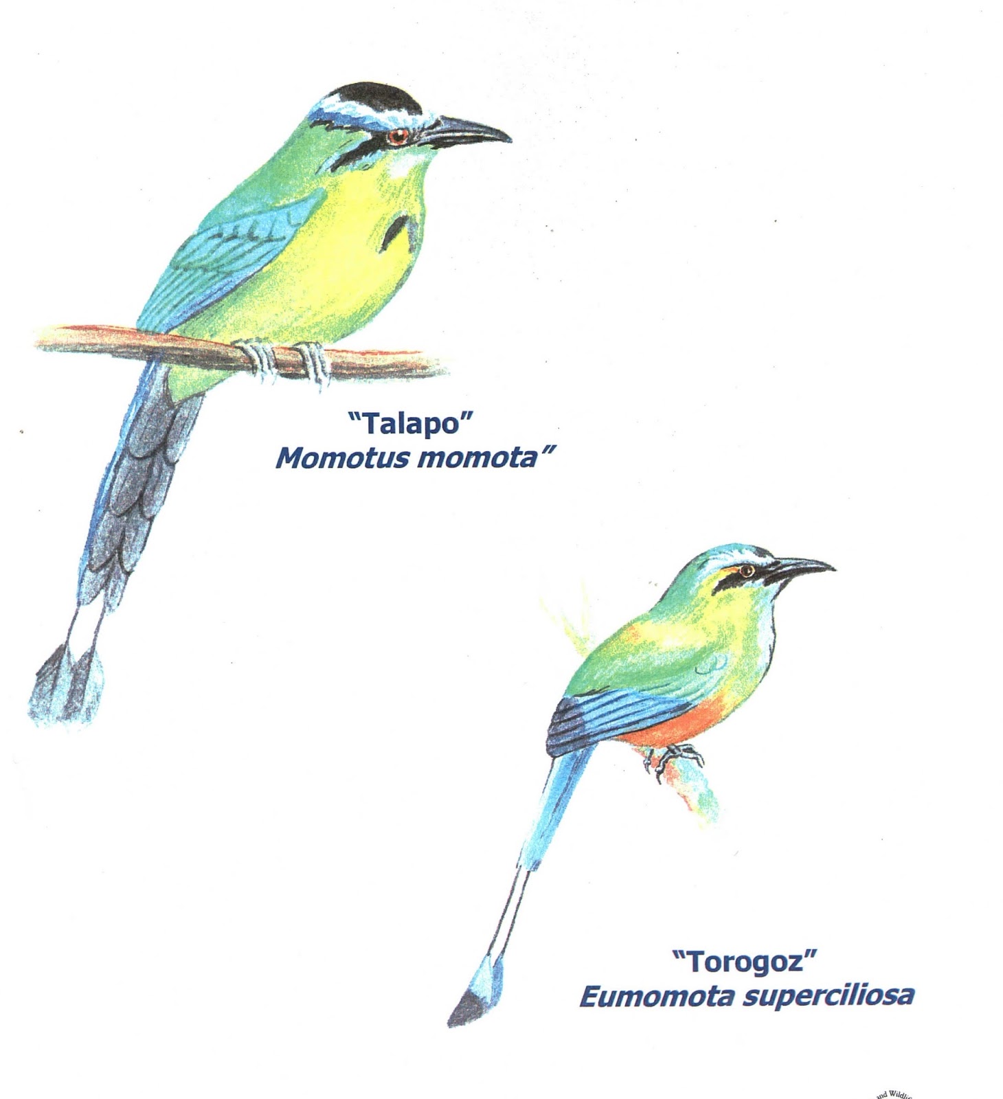 RINCON DEL CONOCIMIENTO