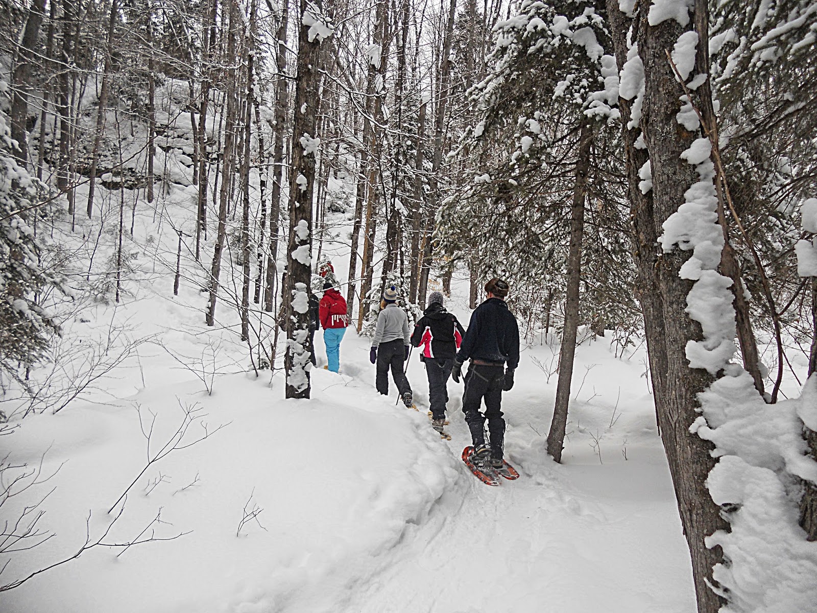 Aarohon: Snowshoe Hiking Expedition