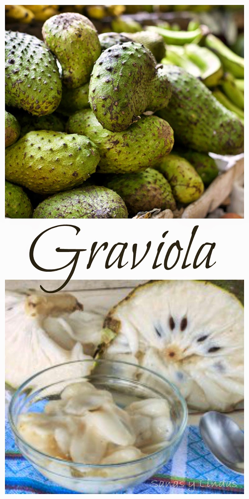 Sanas y Lindas: Infusión de Graviola - Grandes beneficios