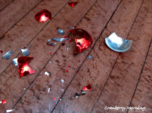 Cranberry Morning: Putting up the Christmas Tree