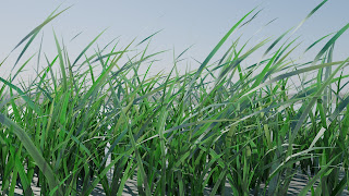 Robert Poole: Realistic Grass Test