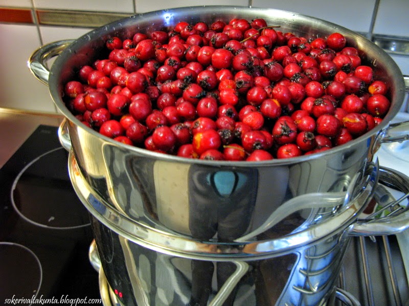 Orapihlajan mehu | Sokerivaltakunta