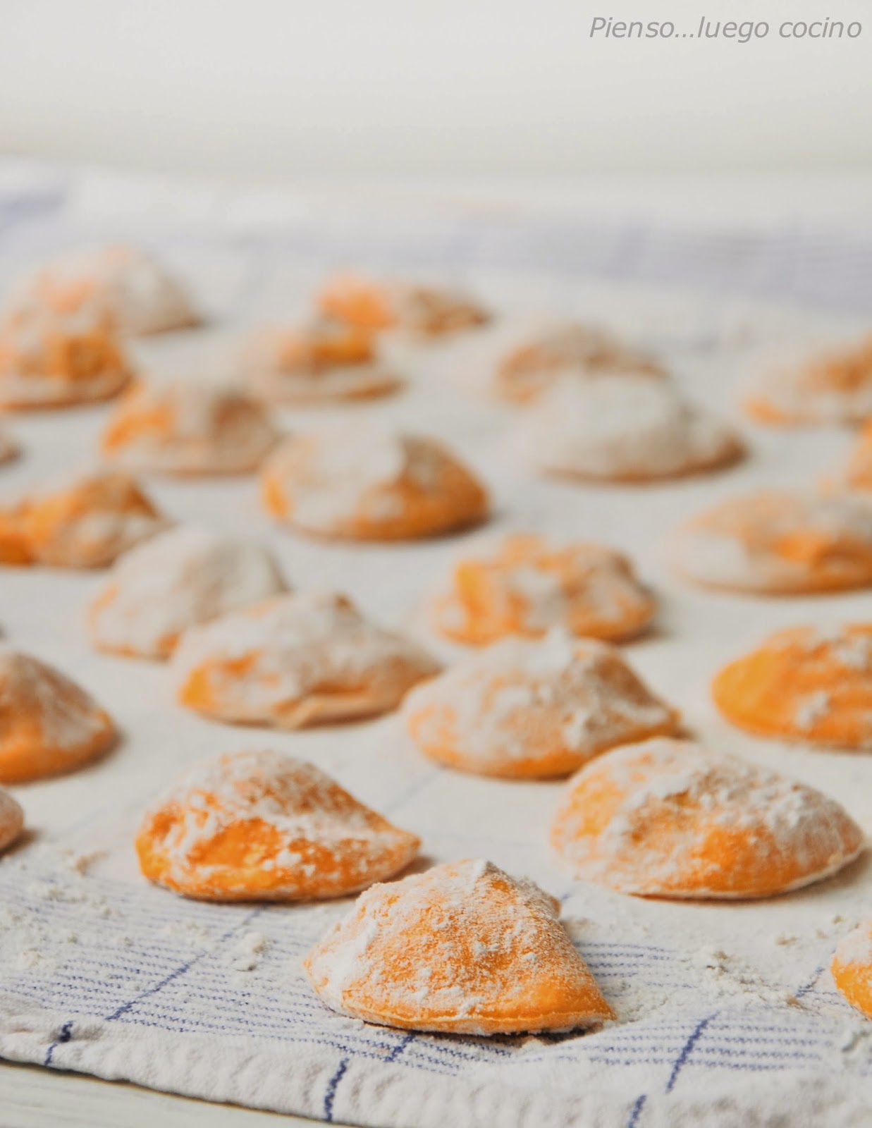 Pienso...luego cocino: Preparar pasta rellena casera